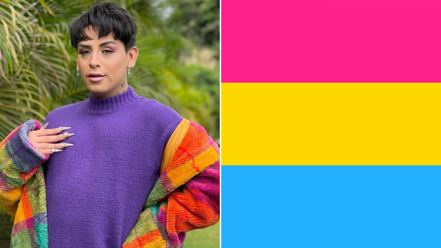 ¿qué Es La Pansexualidad 7 Mitos Y Realidades Explicados